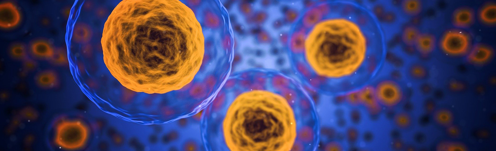 Cellular Life | Reuben College